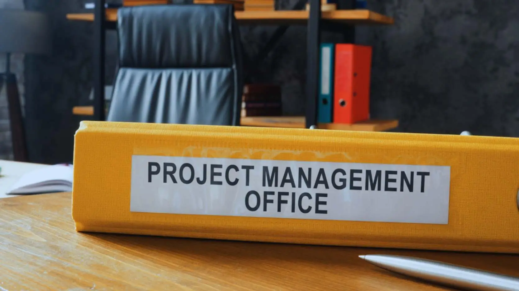 Introduction To Program Management: Manage Related Projects